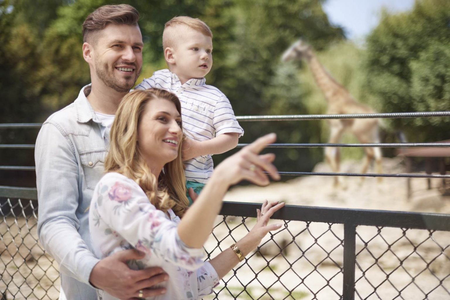 Największe ogrody zoologiczne w Polsce | Portfel Polaka